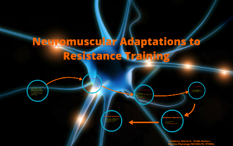 Neuromuscular Adaptations to Resistance Training by Richard Pellerin on ...