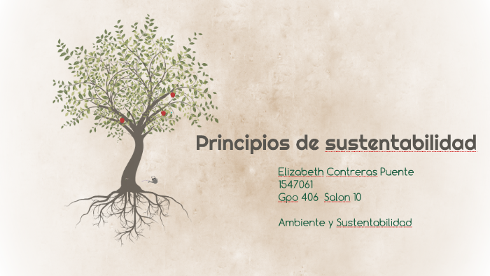 Principios de sustentabilidad by ely puente on Prezi