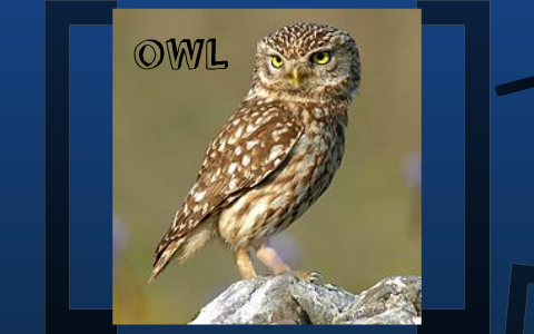 animals with special senses by Abigail Parker on Prezi