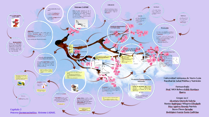 Capítulo 3. Proceso farmacocinético. Sistema LADME by Betsabe Reyes on ...