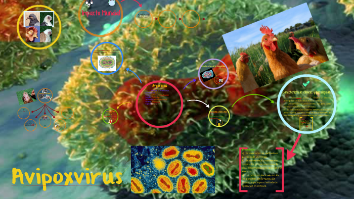 Avipoxvirus by Tefa Morales on Prezi