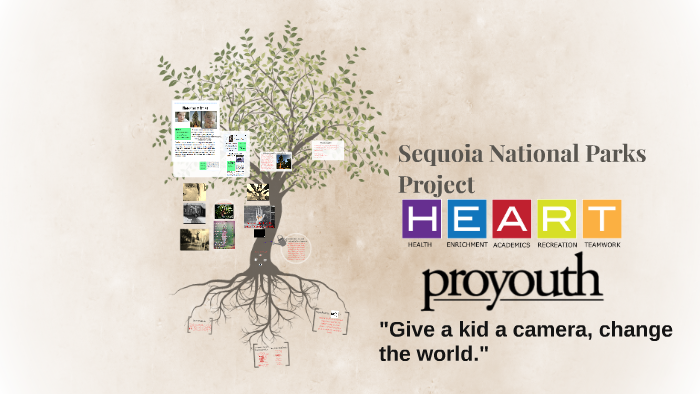 Sequoia National Parks Project by on Prezi