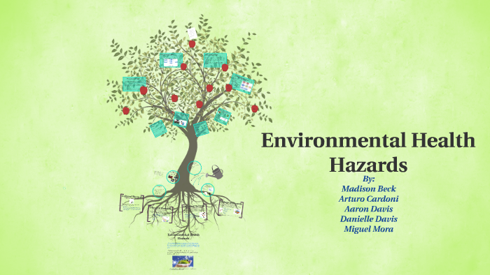 Environmental Health Hazards by Dani Davis on Prezi