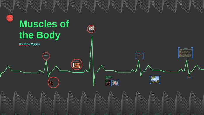 Muscles of the Body by Shekinah Wiggins
