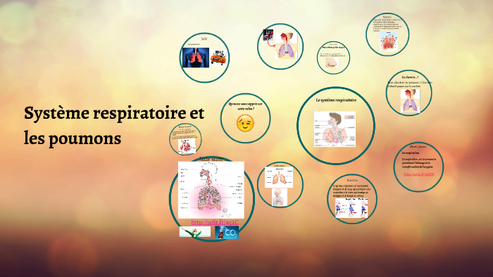 Système respiratoire et les poumons by Marie-Jeanne Laflamme on Prezi