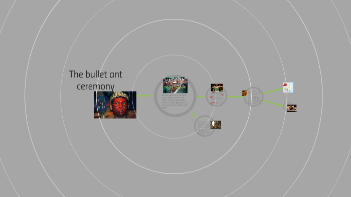 The bullet ant ceremony by Owen Baird-Peddie on Prezi
