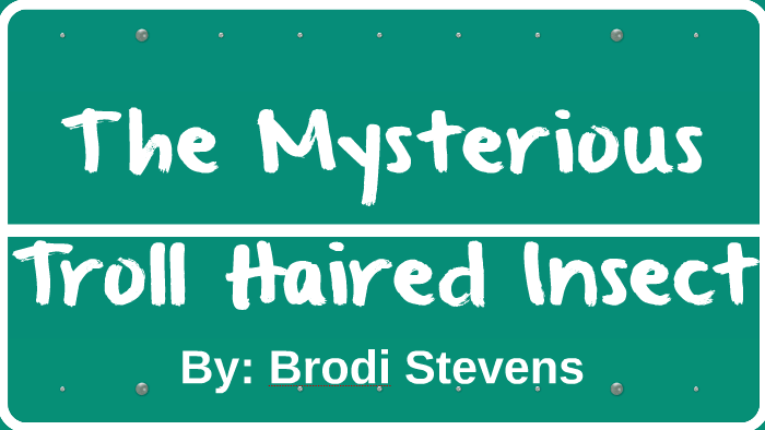 The Mysterious Troll Haired Insect by Margolit Sands on Prezi
