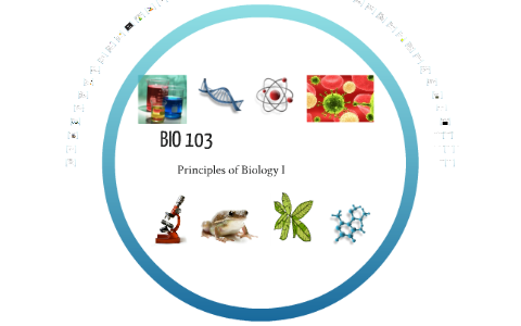 BIO 103 Principles of Biology I by on Prezi