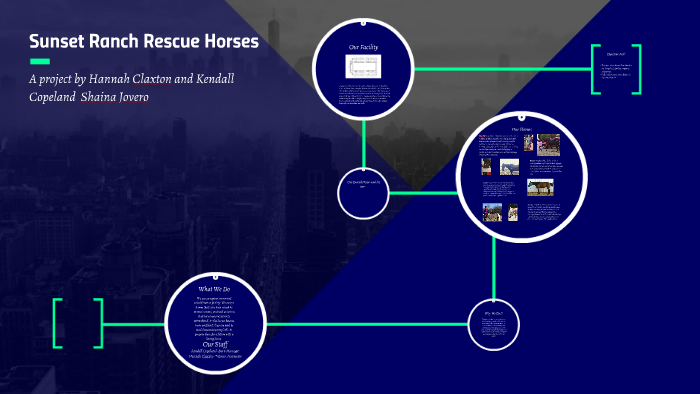 Sunset Ranch Resuce Horses by Hannah Claxton on Prezi