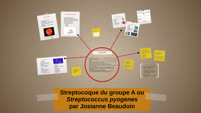 Streptocoque du groupe A ou Streptoccus pyogenes by Josianne Beaudoin ...