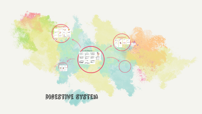 Digestive System by Majella Smith on Prezi