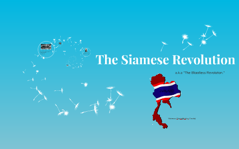 The Siamese Revolution by Ryan Harlow on Prezi