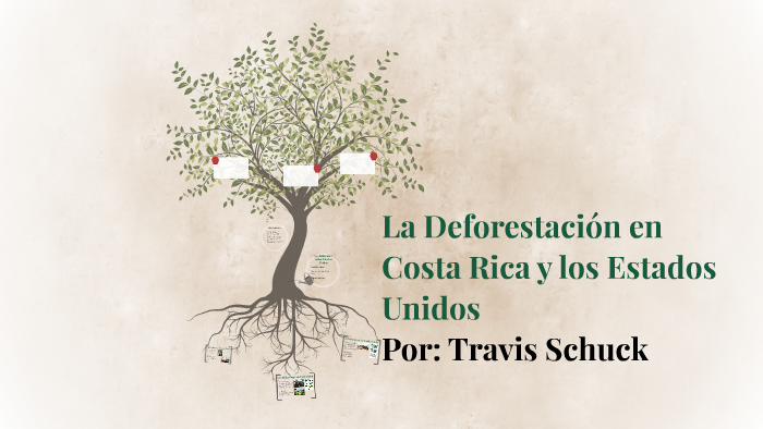 La Deforestación en Costa Rica y los Estados Unidos by Travis Schuck on ...