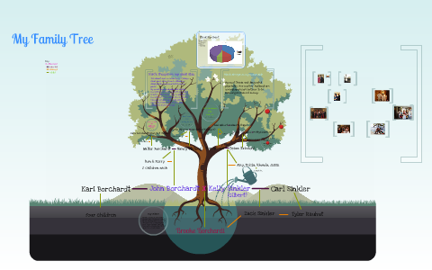 My Family Tree by Brooke Borchardt on Prezi