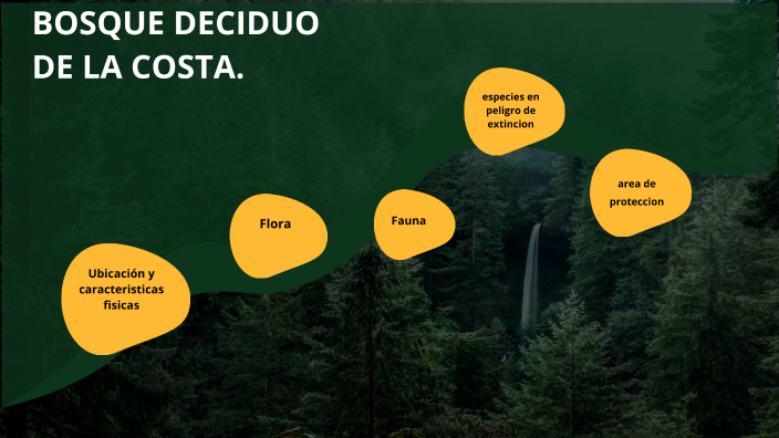 Bosque Deciduo de la Costa by Pietro Armas on Prezi