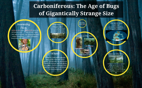 Carboniferous: The Age of Gigantic Bugs by jacob cox on Prezi