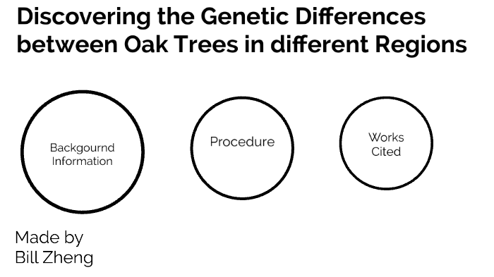 Discovering the Genetic Differences between Oak Trees in different ...