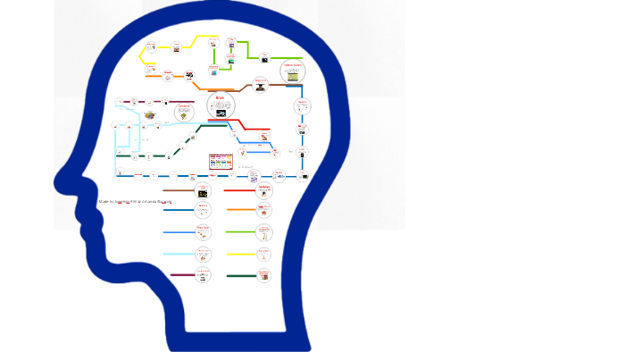Subway Map Of The Human Nervous System & Endocrine System by Jungmin ...