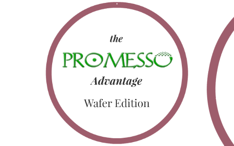 The Promesso Advantage - Wafer Edition by PROMESSO Business Solutions ...