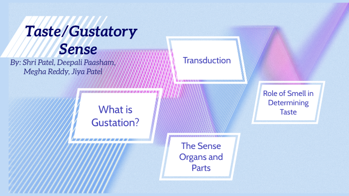 Taste/Gustatory Sense AP Psych Presentation by Shri Patel _ Student ...