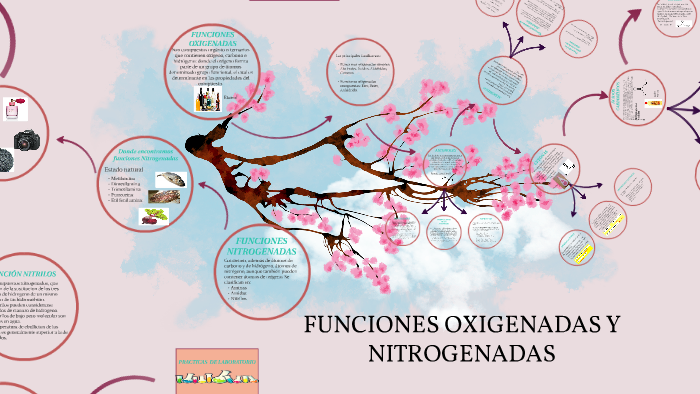 Funciones Oxigenadas Y Nitrogenadas By Laleska Sucso On Prezi 