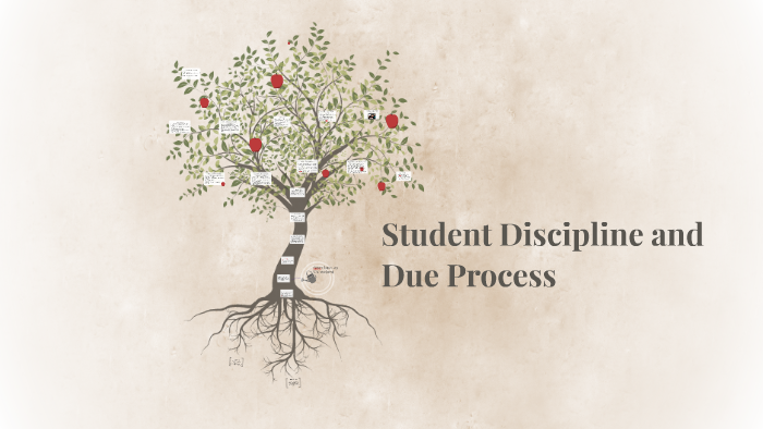 Student Discipline and Due Process by Michael Prewitt on Prezi Student Discipline and Due Process by Michael Prewitt on Prezi