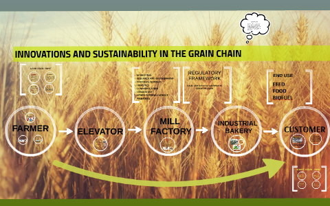 GRAIN CHAIN by Annie G on Prezi