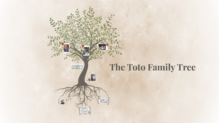 The Toto Family Tree by sarah toto on Prezi