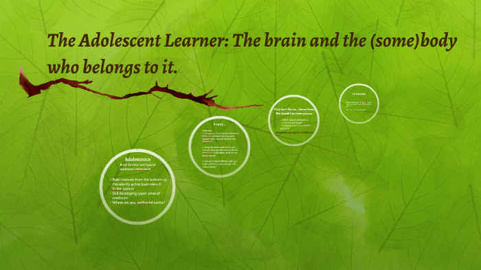 The Adolescent Learner: The brain and (some)body who belongs to it by ...