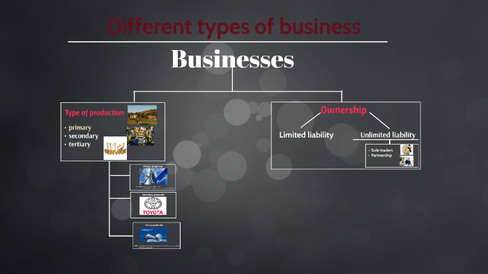 Different types of business by Anna Tabunova on Prezi