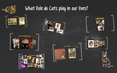 What Role do Cats play in our lives? by G B on Prezi