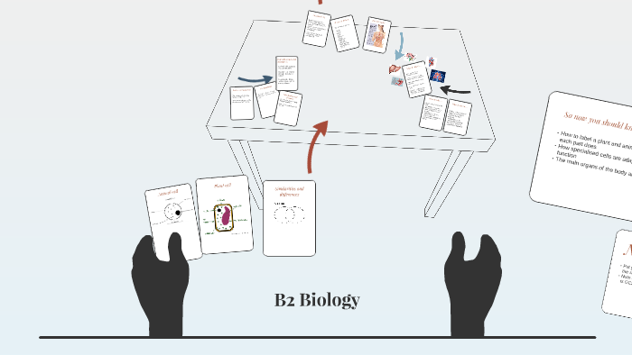 Plant cells by Jill Hatch on Prezi