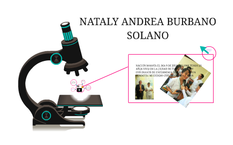 NATALY ANDREA BURBANO SOLANO by Nataly solano on Prezi