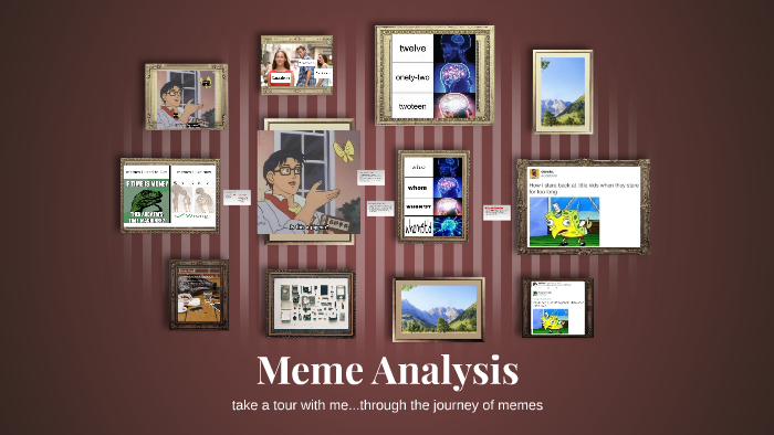 Meme Analysis by Hajra Sohail