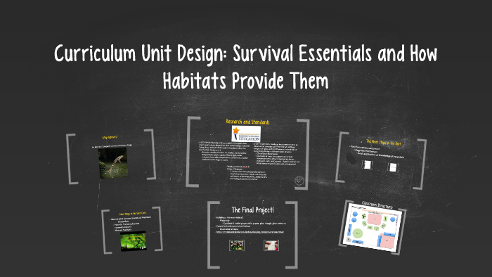 Curriculum Unit Design: Survival Essentials and How Habitats by Colleen ...