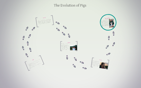 The Evolution of Pigs by Daniel Jenness on Prezi