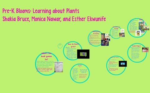 Pre-K Blooms: Learning about Plants by Shakia Bruce on Prezi