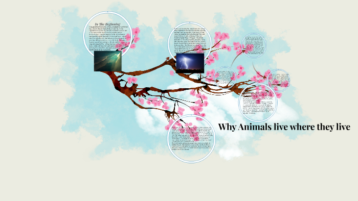 Why Animals live where they live by EERC & Xavier University on Prezi