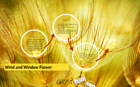 Wind and Window Flower by ashley bearden on Prezi