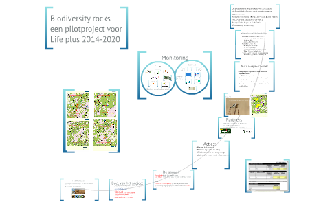 Biodiversity rocks by Chris Rövekamp on Prezi