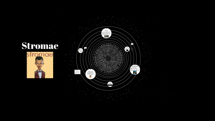 Stromae by Alexis Takyi on Prezi