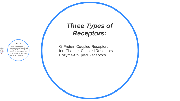 Three Types of Receptors: by Mykayla Duda on Prezi