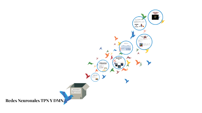 Redes Neuronales TPN Y DMN. by katerine nuñez on Prezi