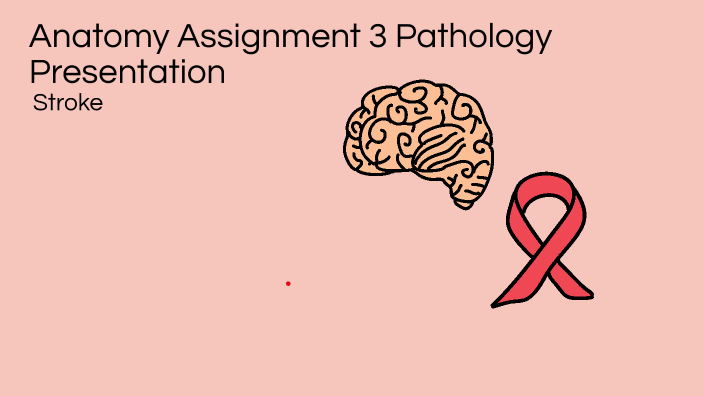 Anatomy Assignment 3 Pathology Presentation by Alyssa Michalski on Prezi