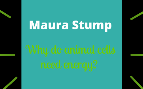 Why does a cell need energy? by Maura S on Prezi