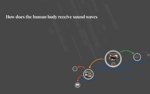 How does the human body receive sound waves by Deena Aiken on Prezi