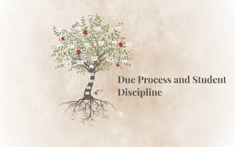 Due Process and Student Discipline by jordan vita on Prezi