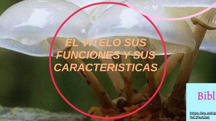 EL VITELO SUS FUNCIONES Y SUS CARACTERISTICAS by Joselyn Estefanía ...