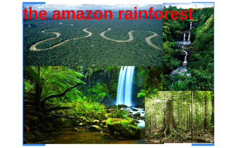 This is the piranha. Or in spanish it is called the Pirana. by Eve ...