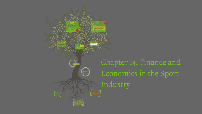 Chapter 14: Finance and Economics in the Sport Industry by Lauren ...